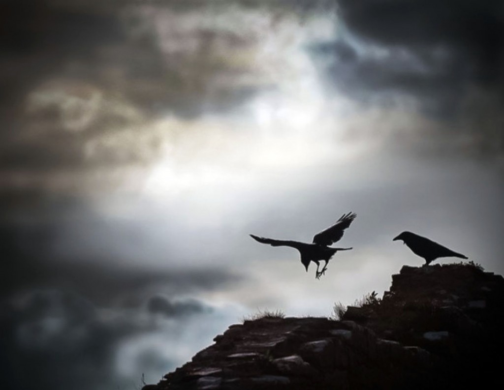 My First Viewbug Awards - Things going from strength to strength